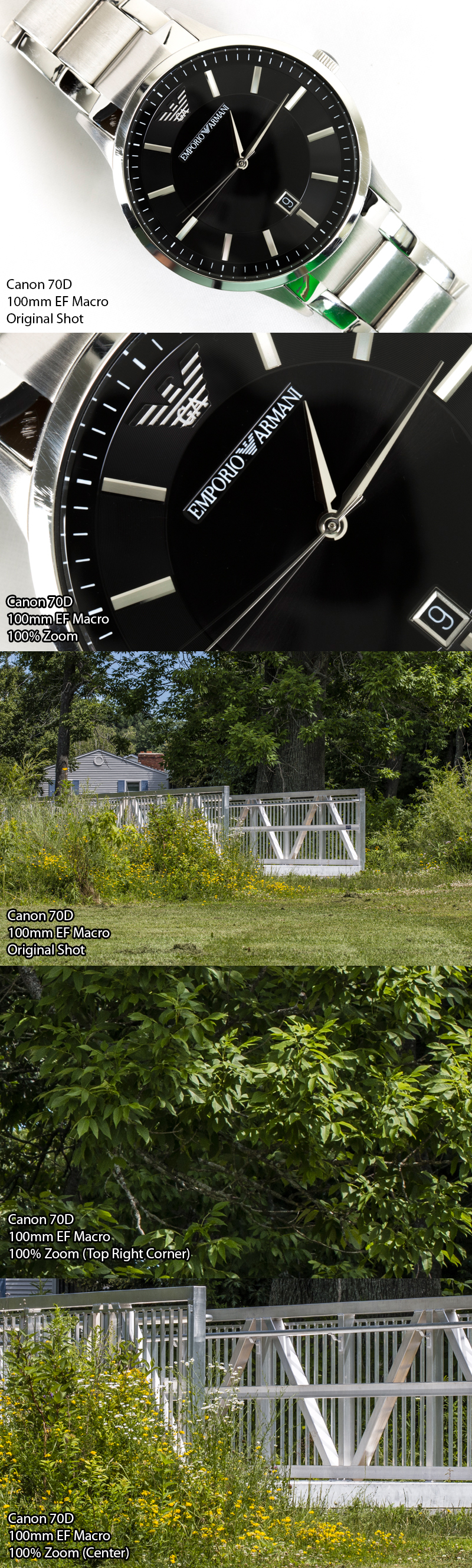 Canon EF 100mm f/2.8 Macro USM Lens Review - Worth It?