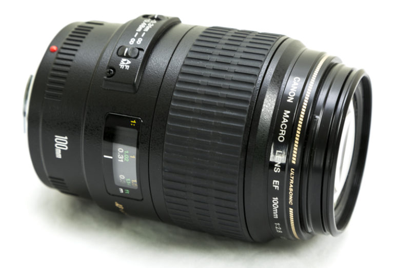Canon EF 100mm F/2.8 Macro USM Lens Review - Worth It?